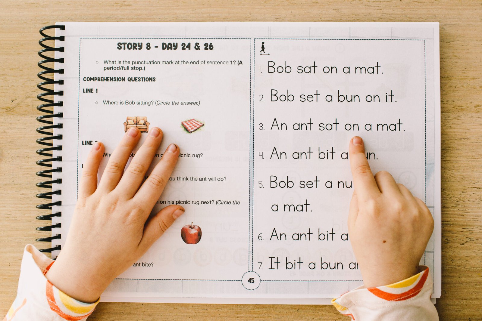 The Art of Reading - Homeschool Phonics